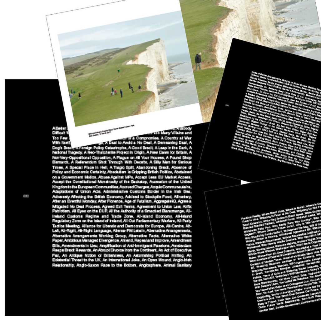 complex states: art in the years of brexit | ARTinTRA